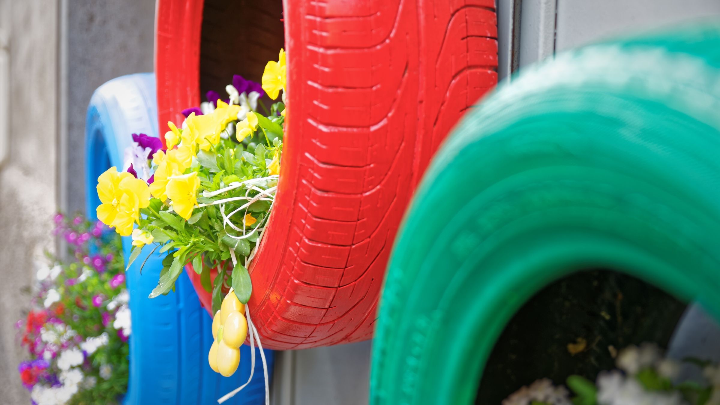 Professional Development | North American Association for Environmental ...