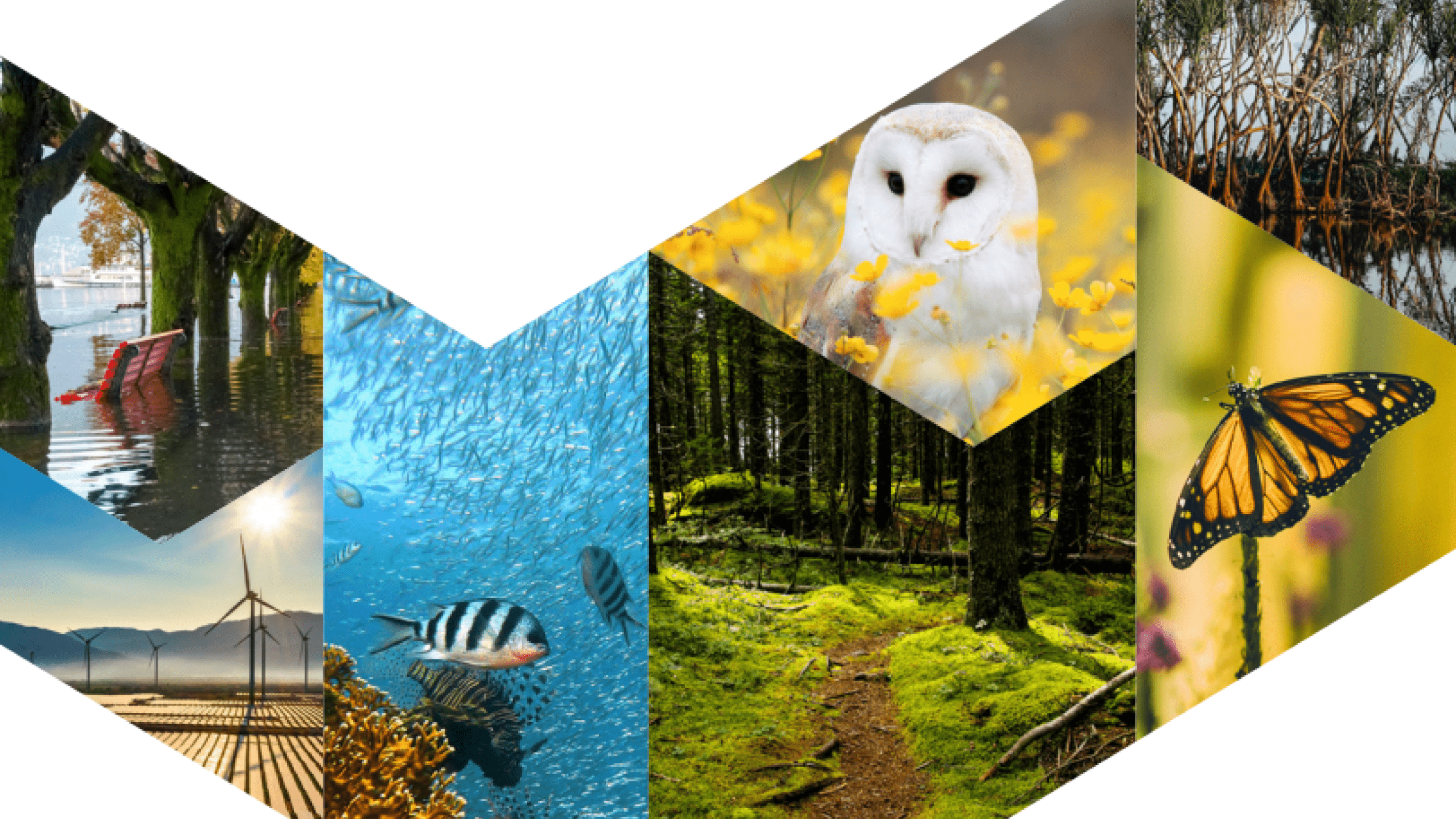 Climate Change Education | North American Association for Environmental ... Climate Change Education | North American Association for Environmental ...
