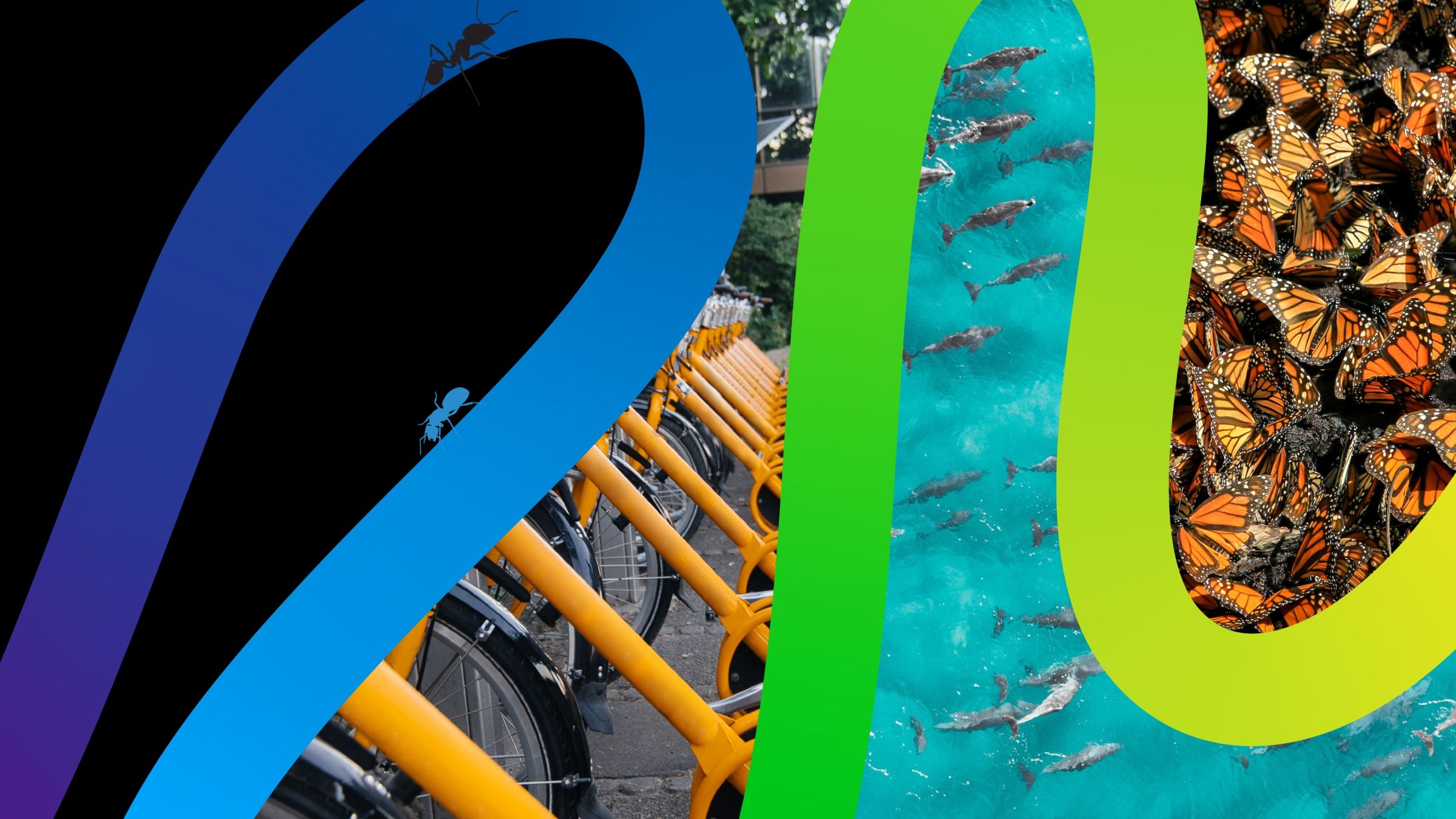 Home | North American Association for Environmental Education