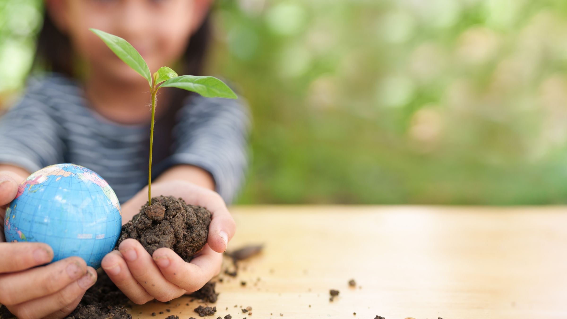 Programs | North American Association for Environmental Education