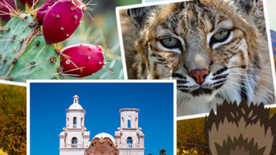 Home | North American Association for Environmental Education