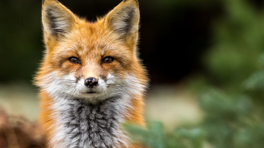 Professional Development | North American Association for Environmental ...