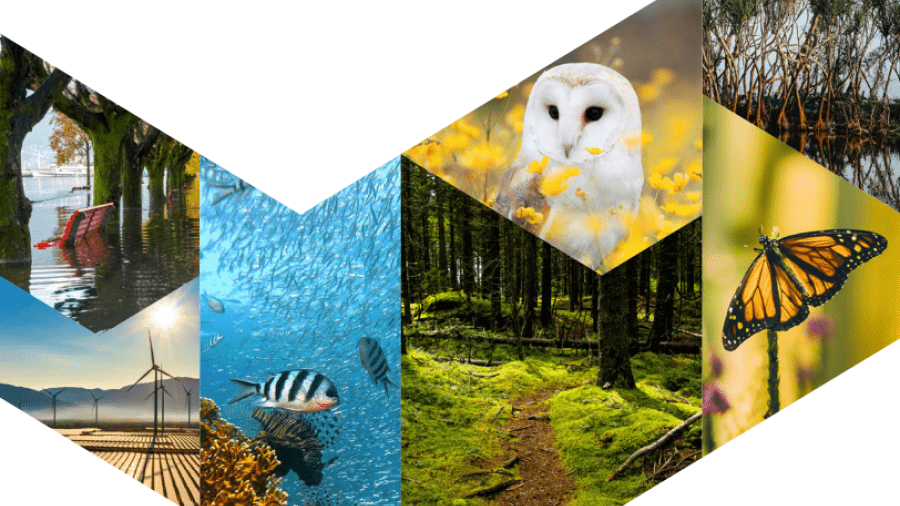 Climate Change Education | North American Association for Environmental ...