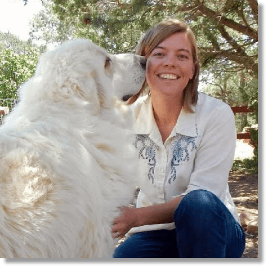 Guidelines Trainers' Bureau | North American Association for ...