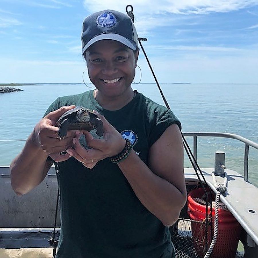 Guidelines Trainers' Bureau | North American Association for Environmental Education