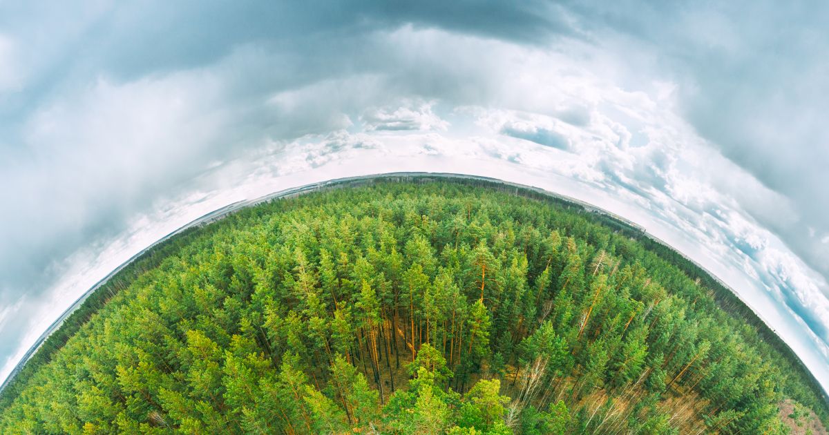 Home | North American Association for Environmental Education