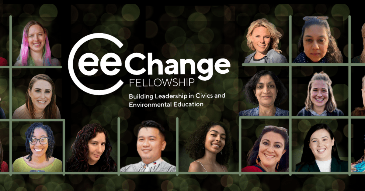 CEE-Change Fellowship 2025 | North American Association for ...