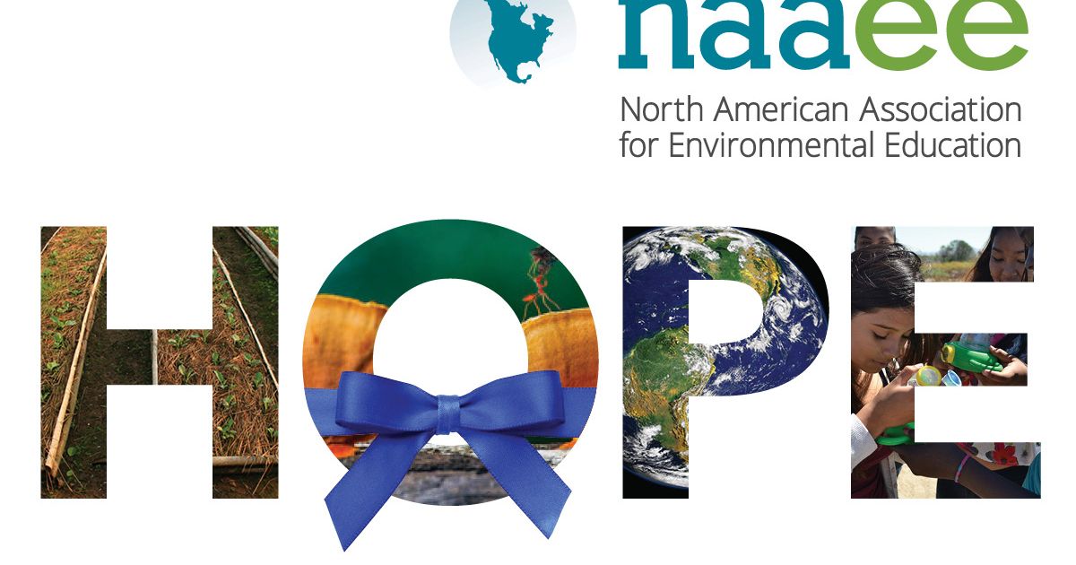 Note from the Executive Director, December 2016 | NAAEE.org